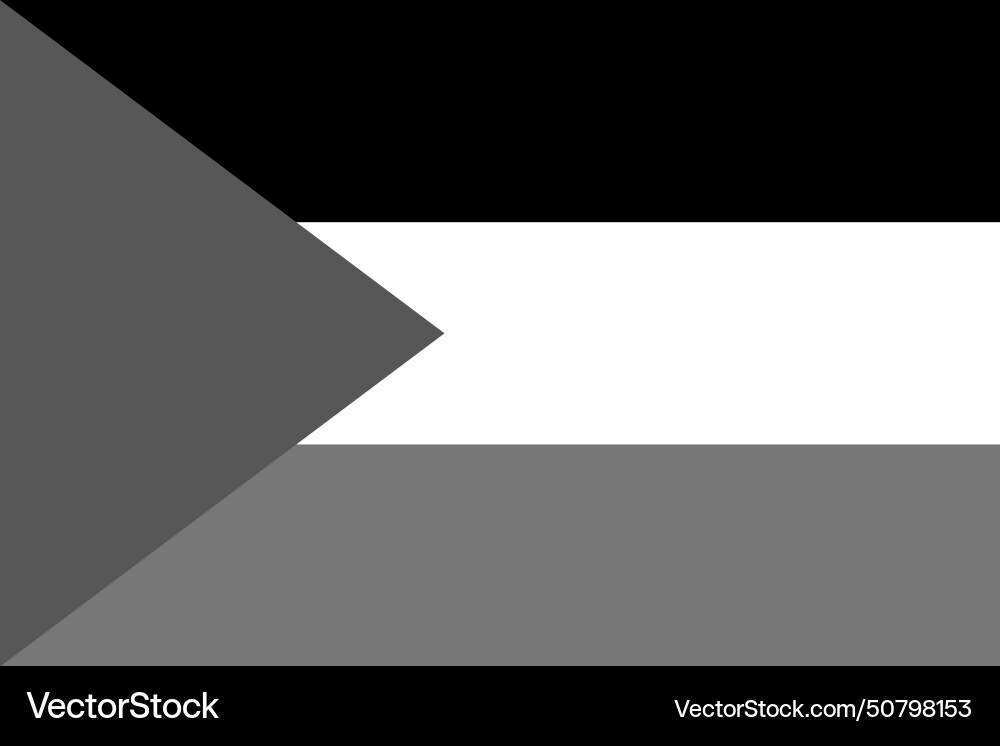 Greyscale flag of palestine Royalty Free Vector Image
