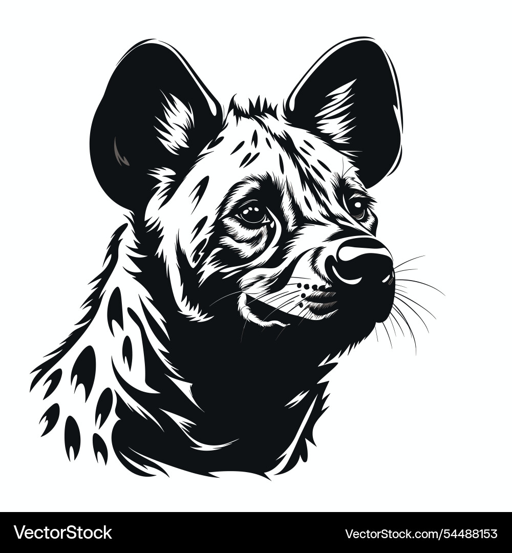 Hyena portrait showcasing unique features Vector Image