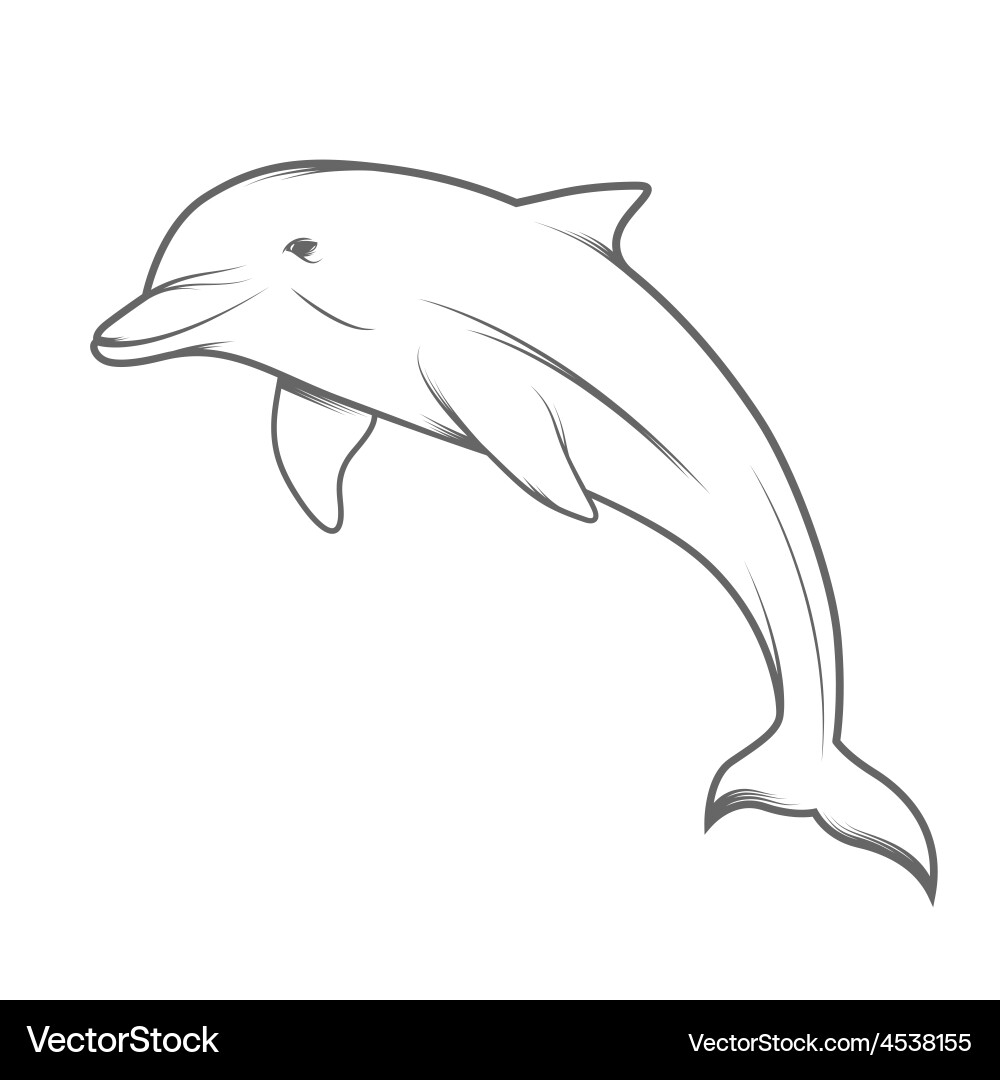 Dolphin Royalty Free Vector Image - VectorStock