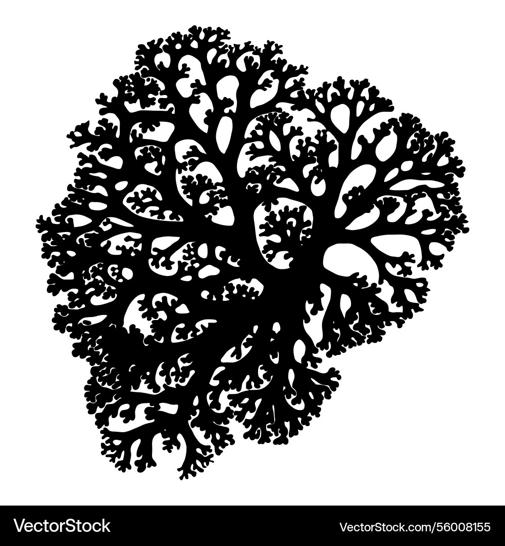 Lichen growth patterns silhouette Royalty Free Vector Image