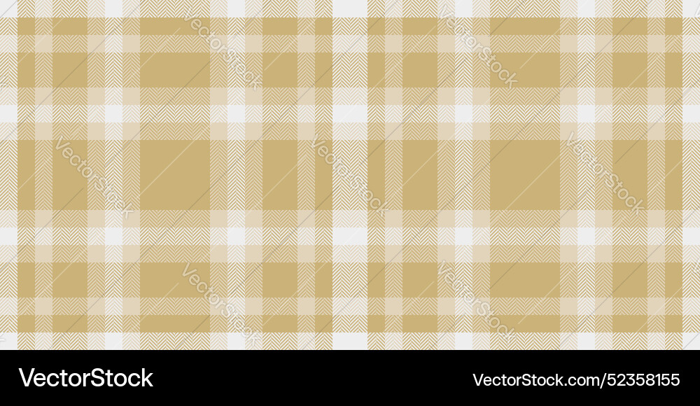 Mexico fabric tartan pattern effect texture Vector Image