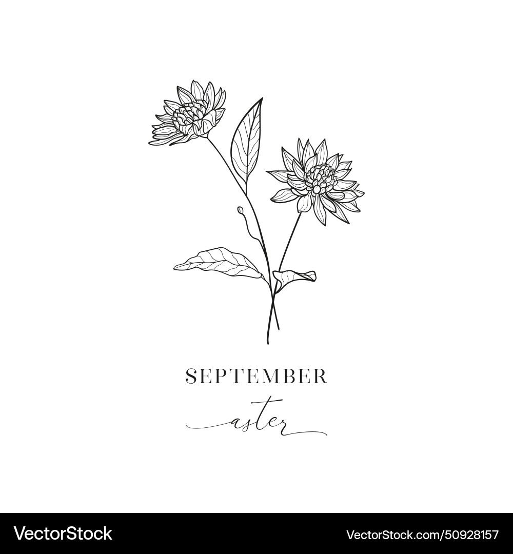 September Flower Drawing