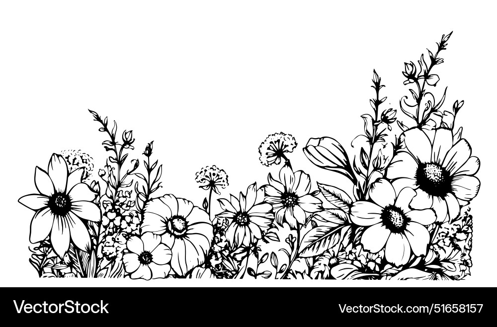 Wild flower field border hand drawn Royalty Free Vector