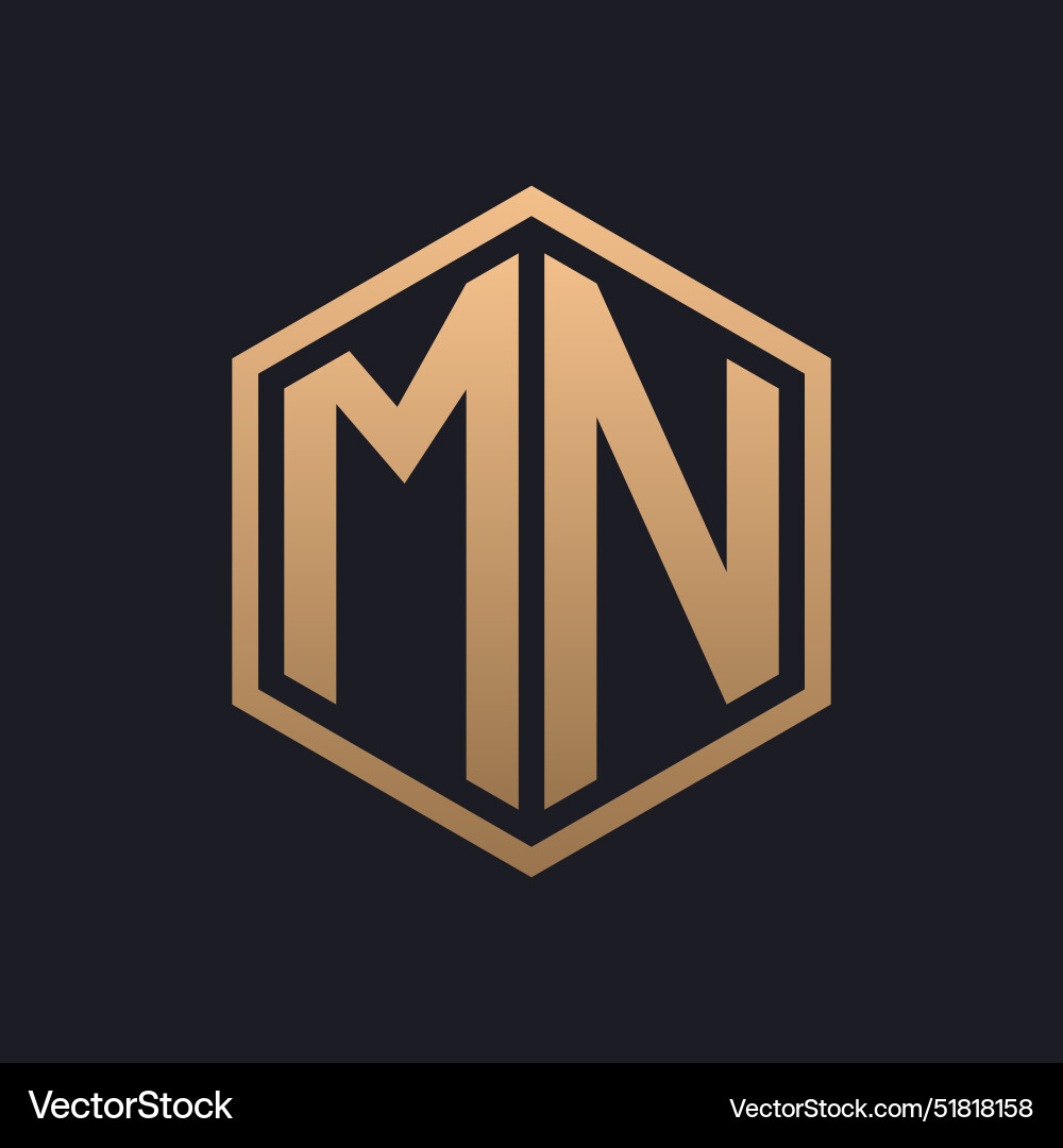 Elegant hexagon letter mn logo design initial Vector Image