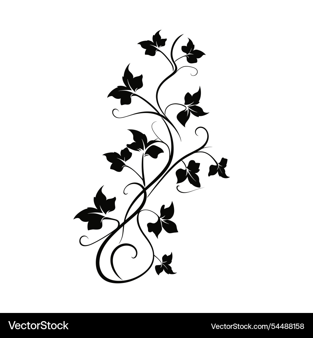 Intricate black vine design featuring leaves Vector Image