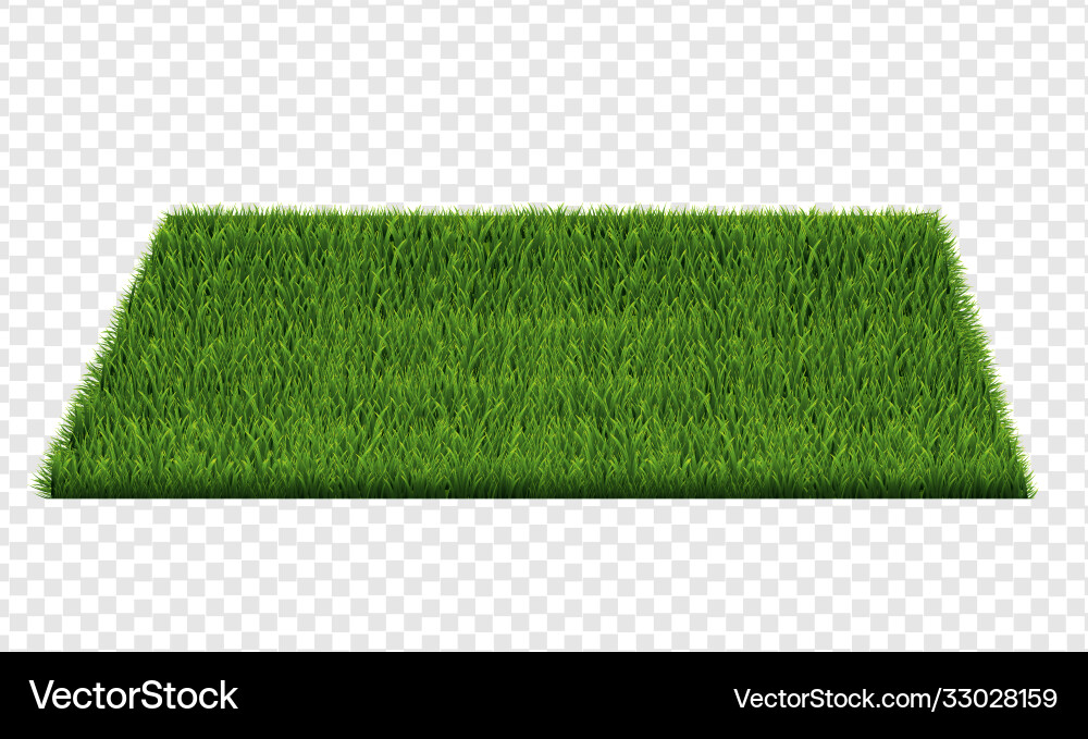 Square green grass field transparent background Vector Image
