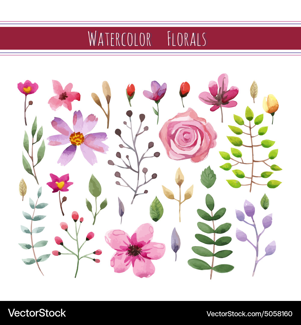 Watercolor Floral Sprigs Royalty Free Vector Image