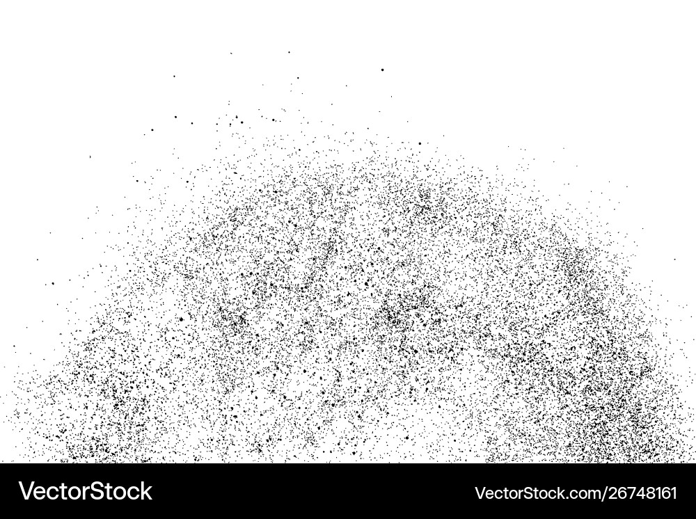 Abstract grainy texture isolated on white Vector Image