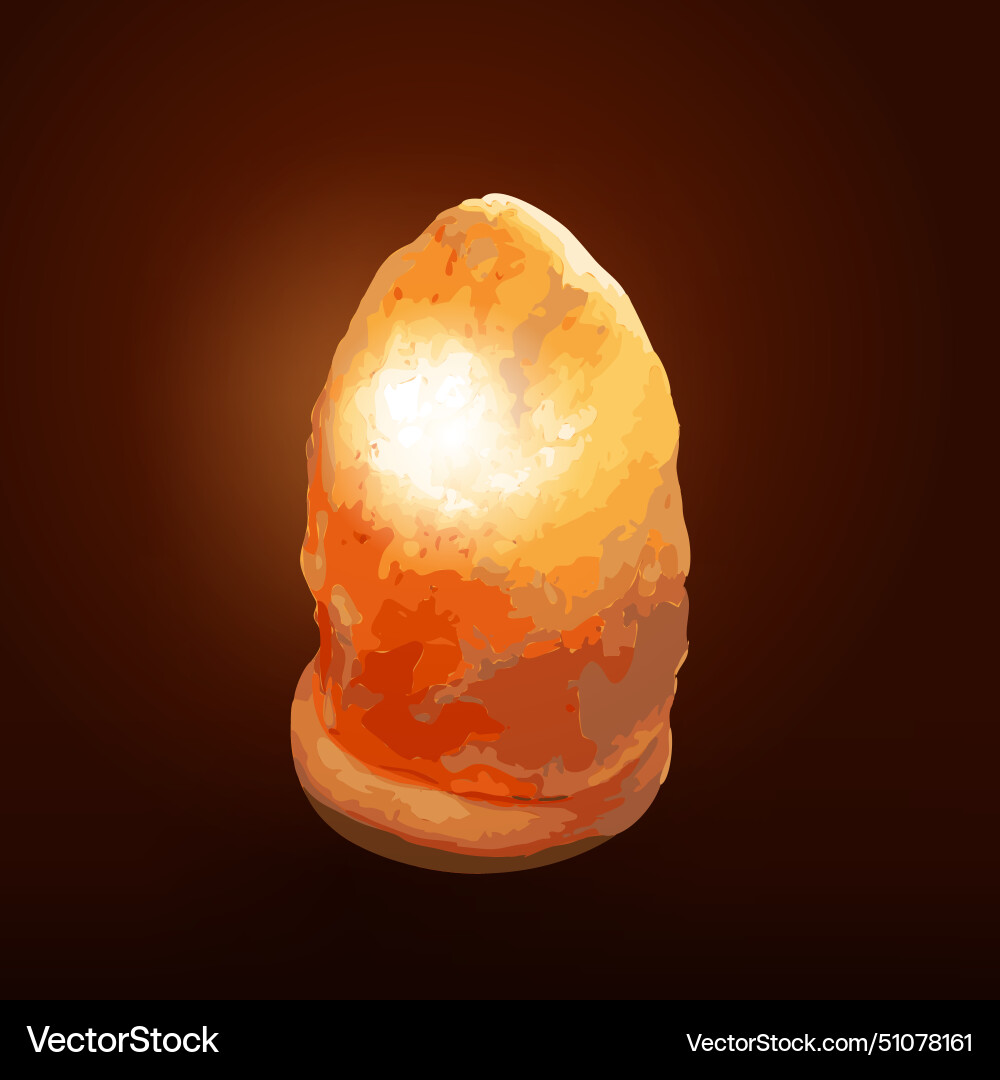 Himalayan salt lamp pink salt crystal lantern Vector Image