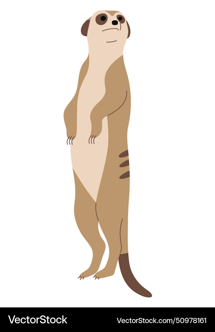 Meerkat single 8 Royalty Free Vector Image - VectorStock