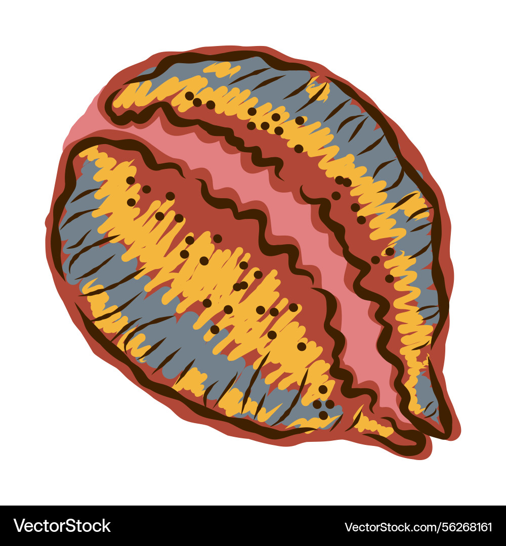 Shell in stylized technique marine world Vector Image