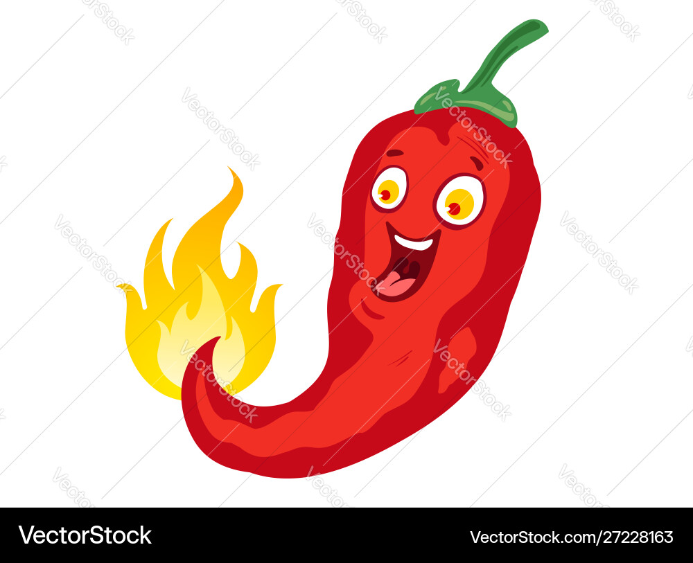 Chilli for mexican or thai food Royalty Free Vector Image