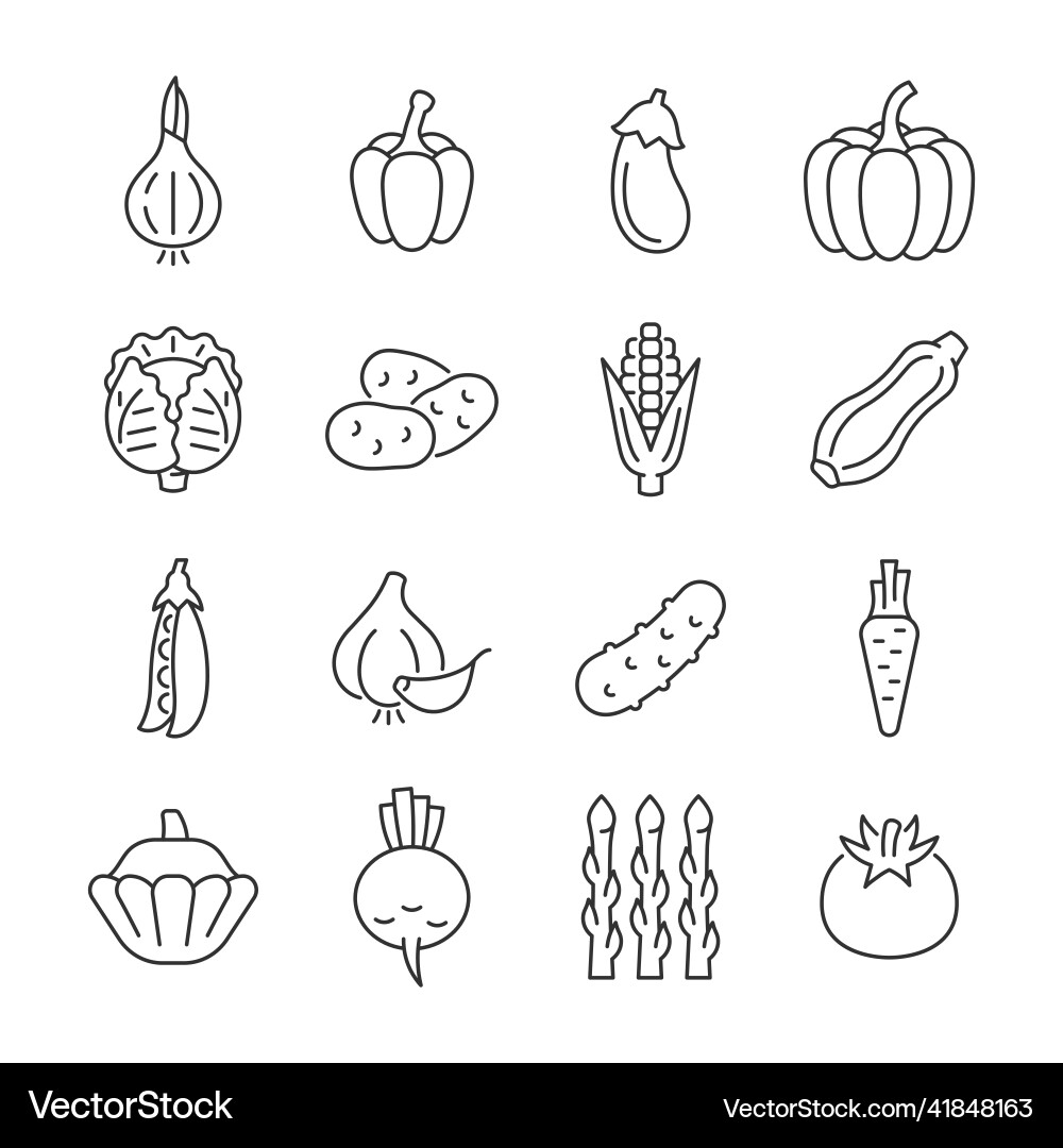 Vegetable line icon set salad ingredient sign Vector Image