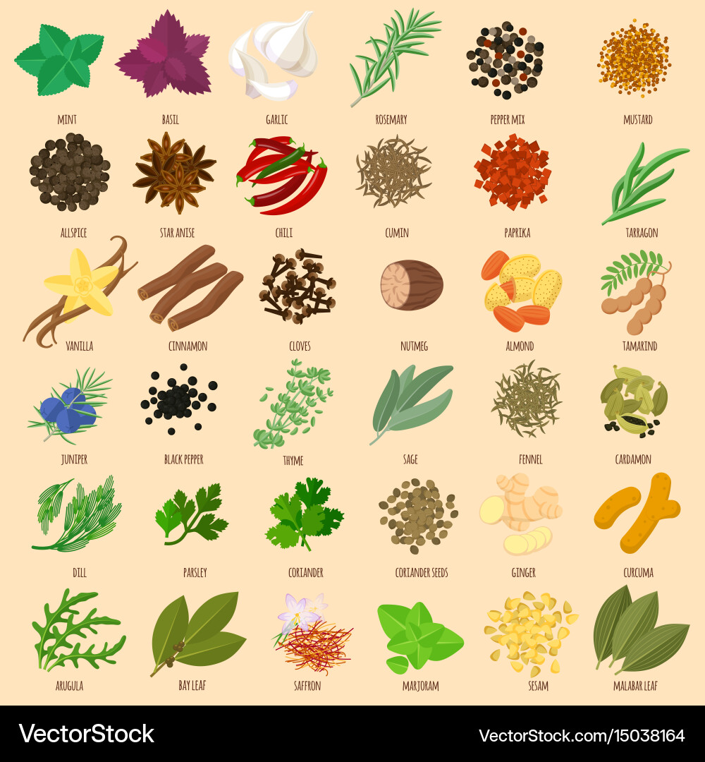 Herbs and spices icons Royalty Free Vector Image