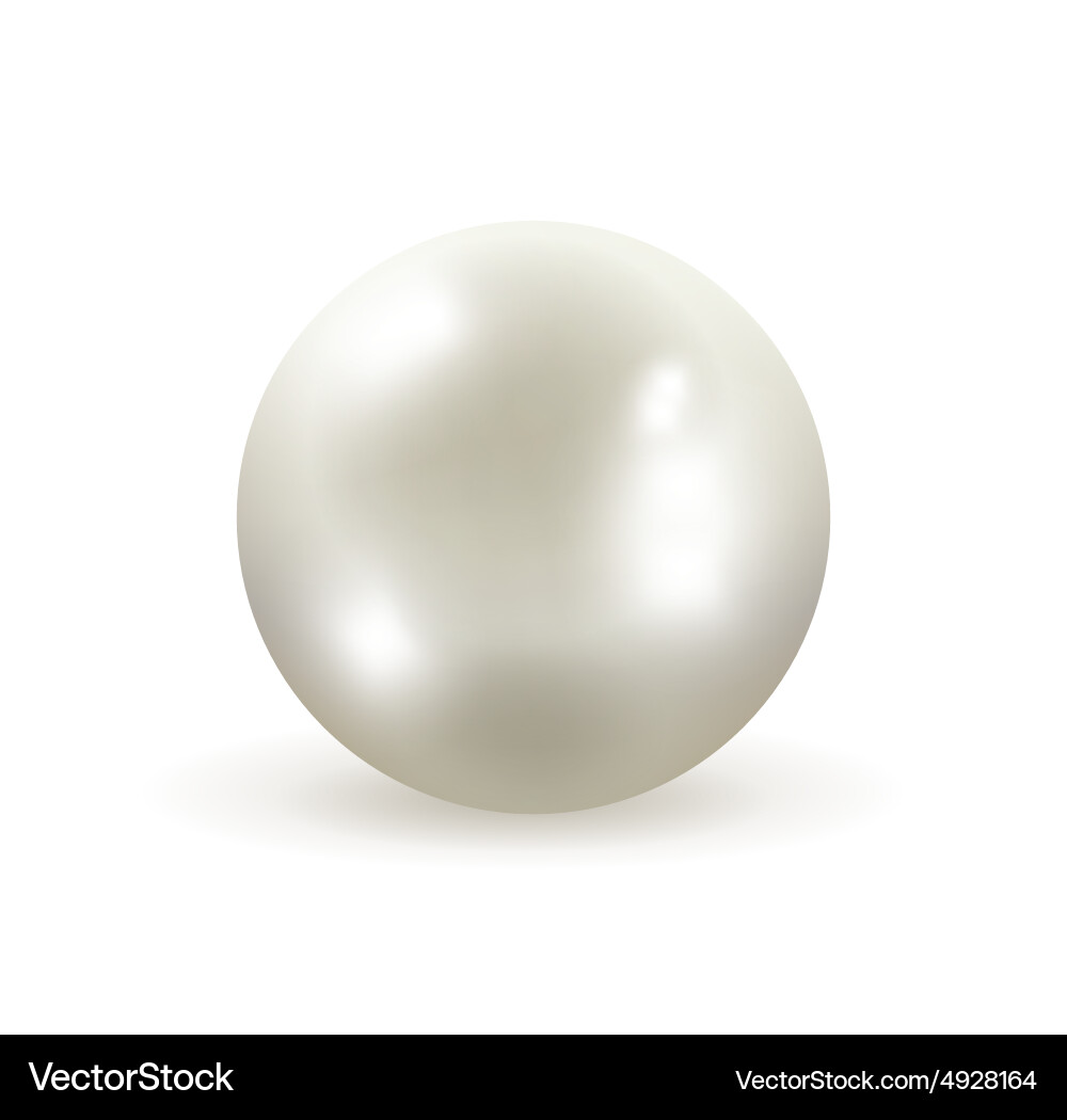 White pearl Royalty Free Vector Image - VectorStock