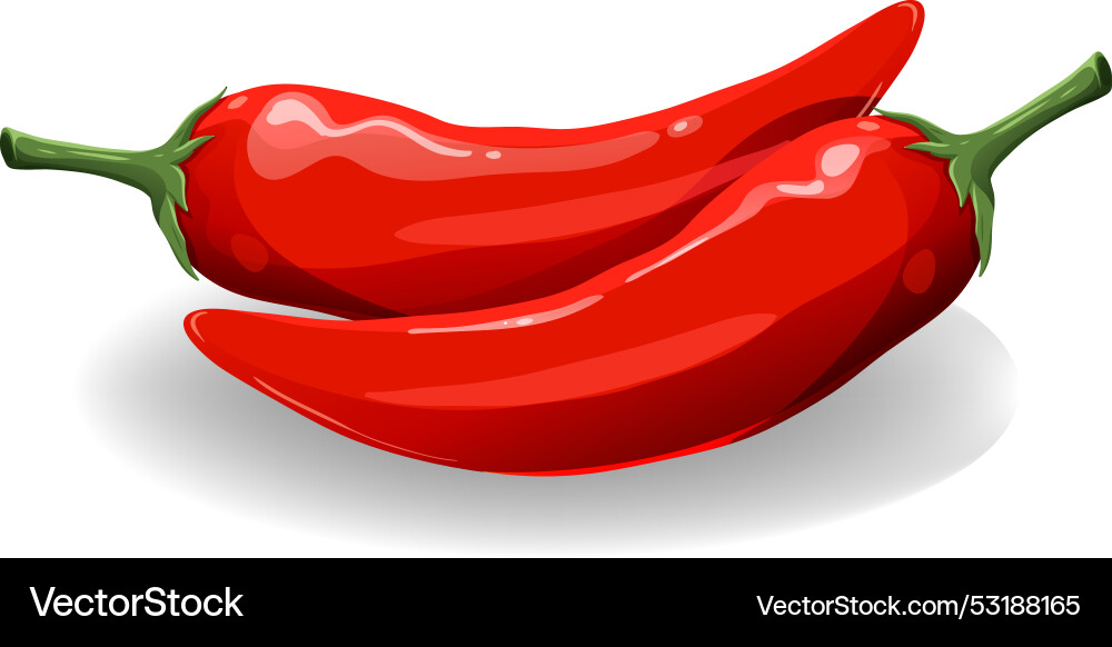 Two vibrant red chili peppers Royalty Free Vector Image