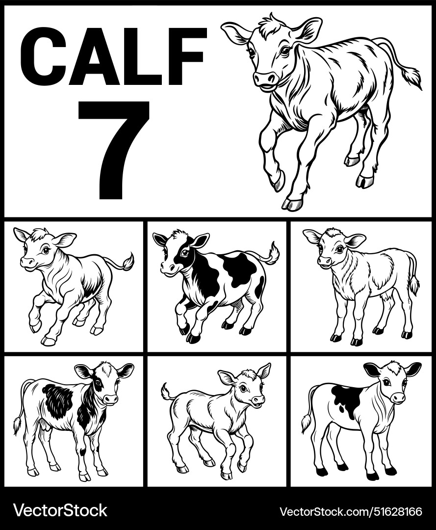 Calf outline set Royalty Free Vector Image - VectorStock