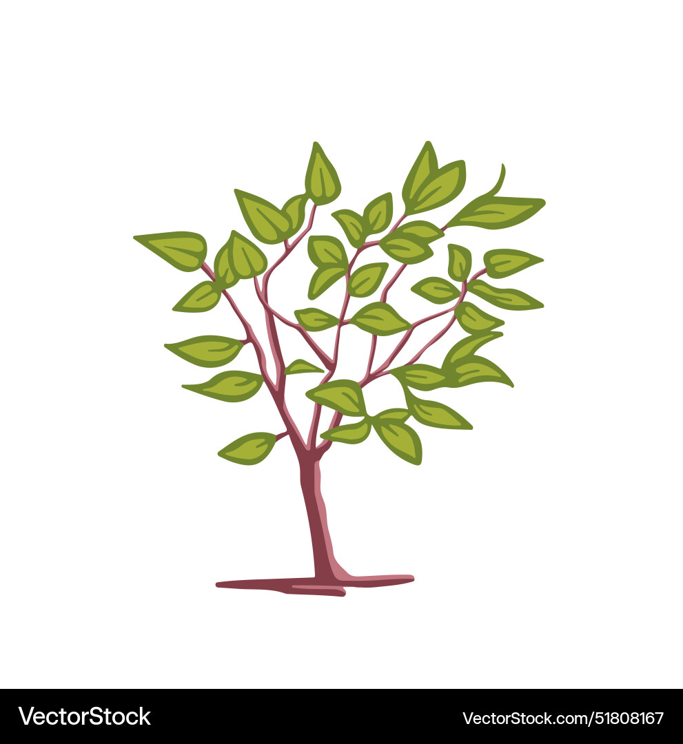 Color of a deciduous bush Royalty Free Vector Image