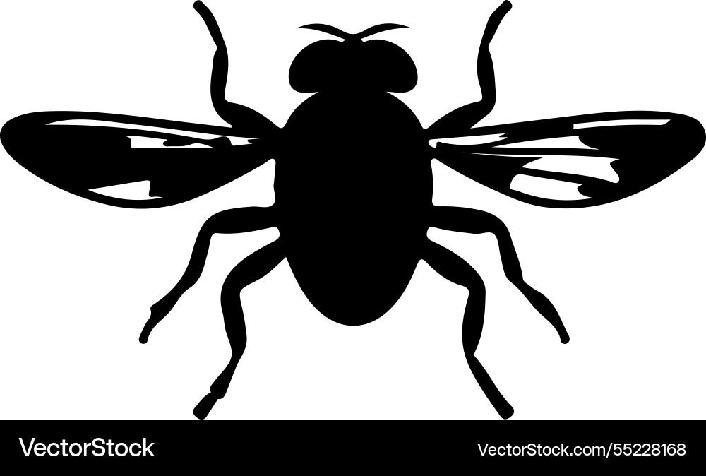 House fly silhouette Royalty Free Vector Image