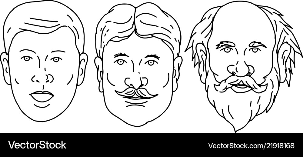 Morphing from young adult middle age drawing Vector Image