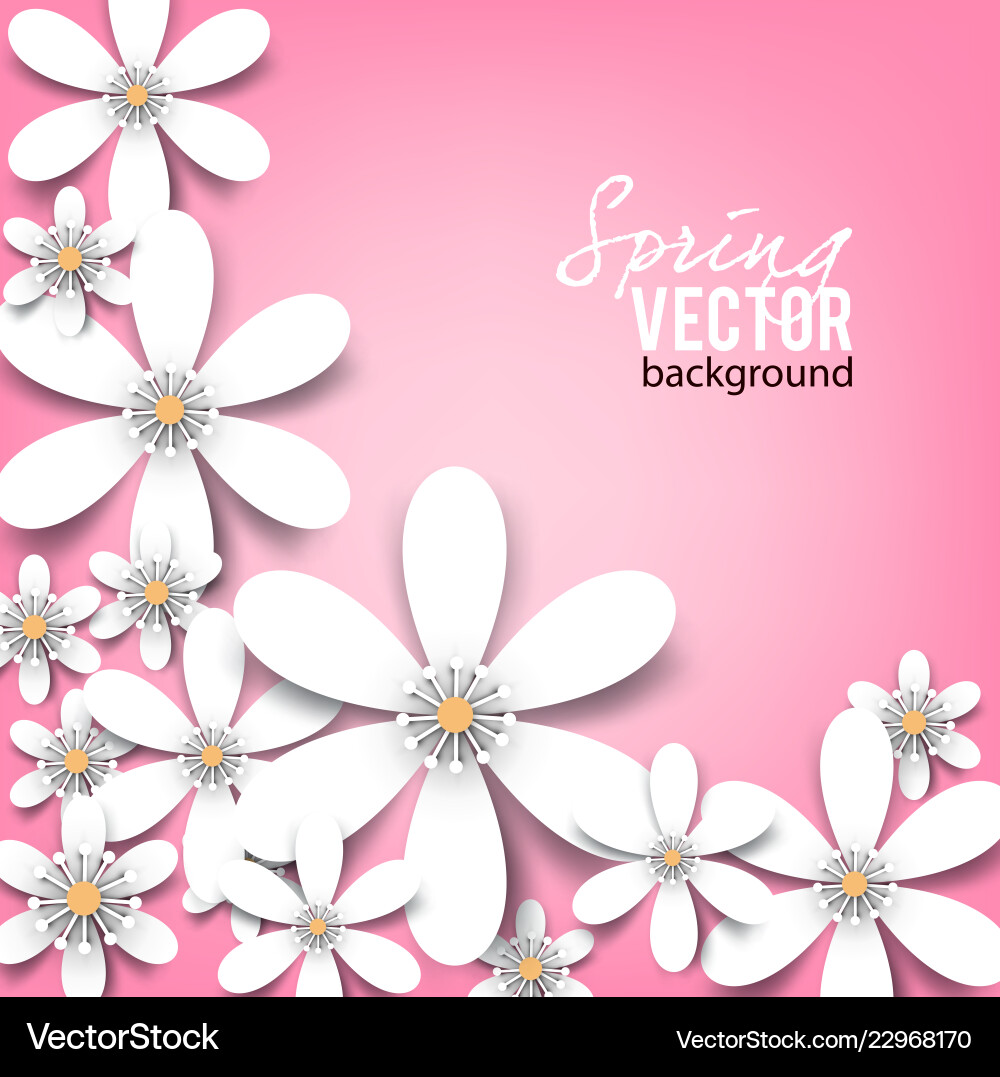 Beautiful background with white spring flowers Vector Image