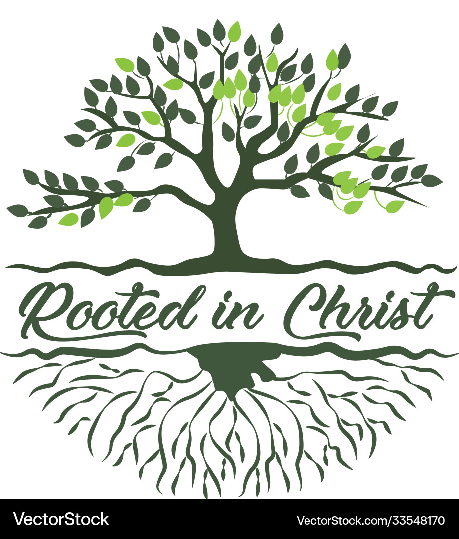 Rooted in christ text design Royalty Free Vector Image