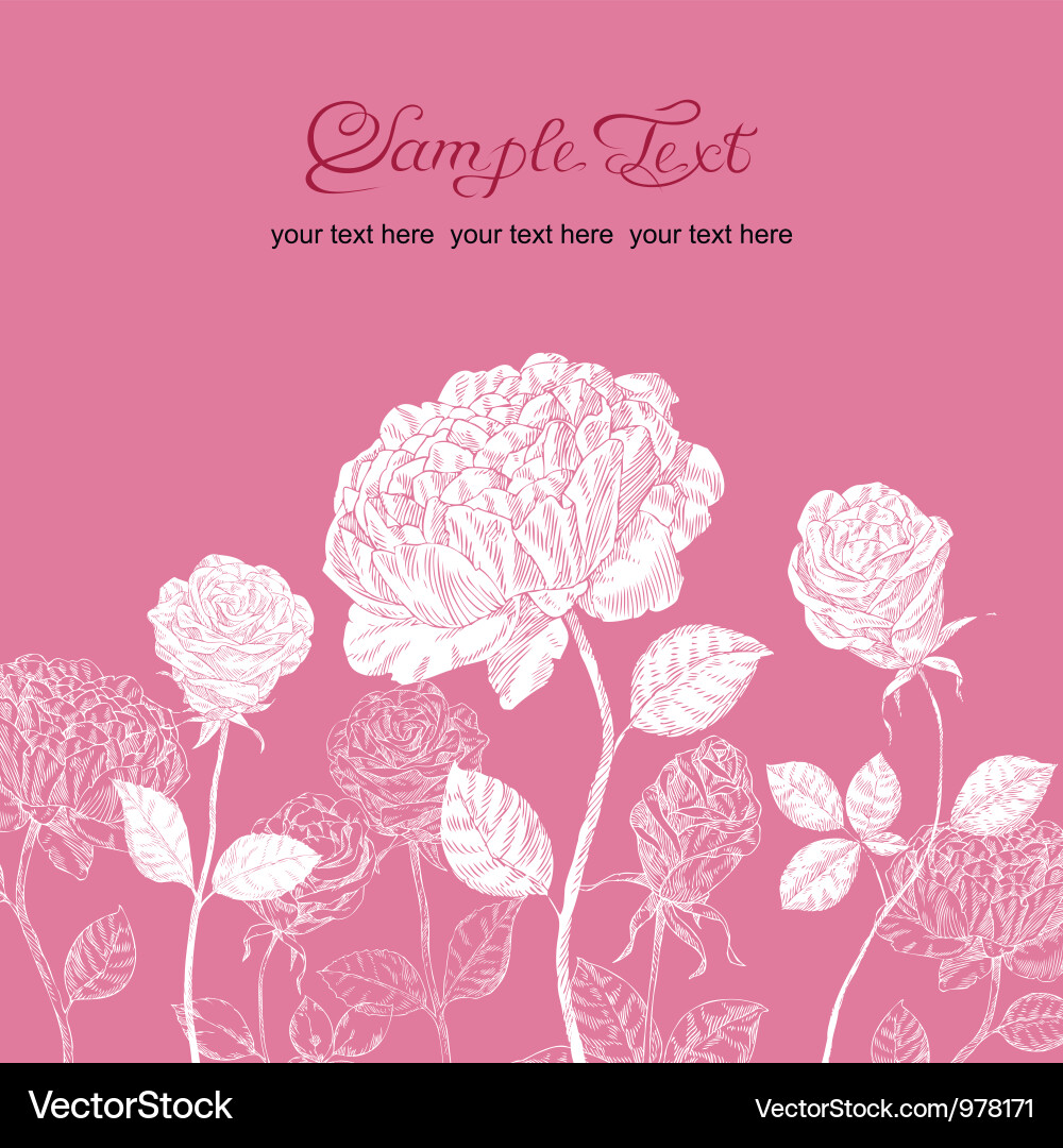 Abstract background beautiful white roses Vector Image