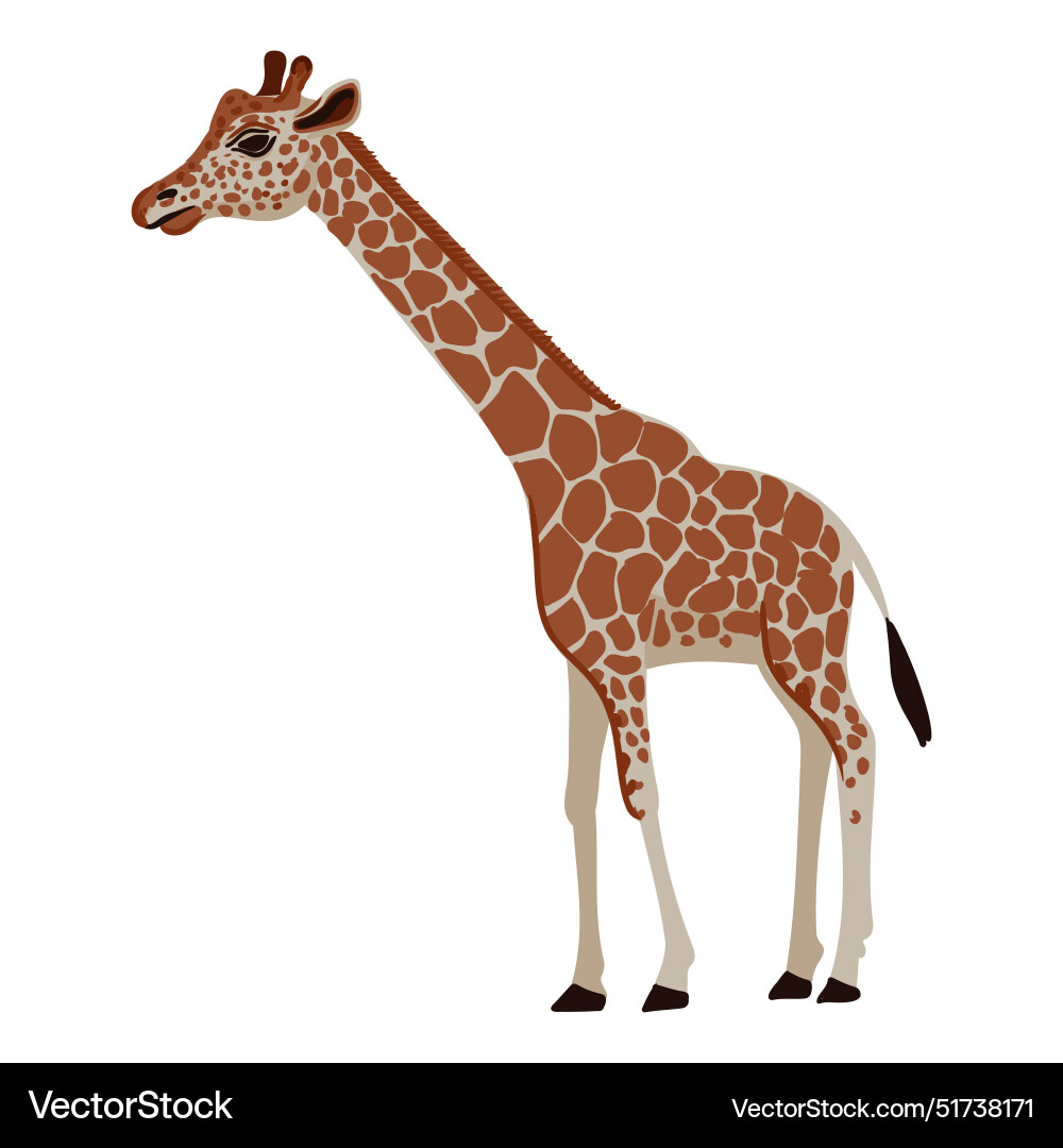Drawing giraffe cartoon animal Royalty Free Vector Image
