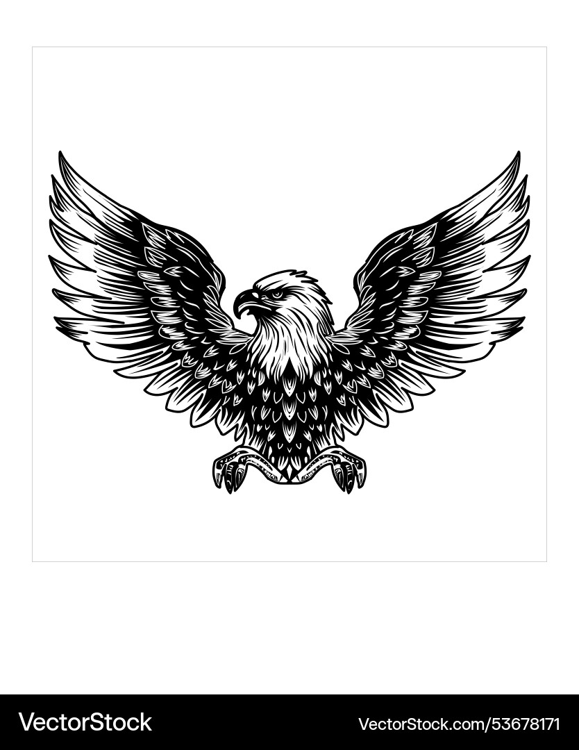 Eagle Royalty Free Vector Image - VectorStock