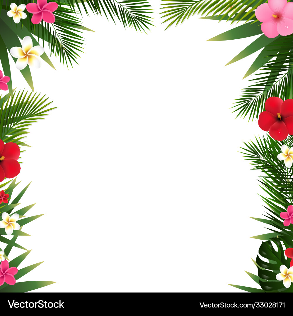 Tropical Beach Border