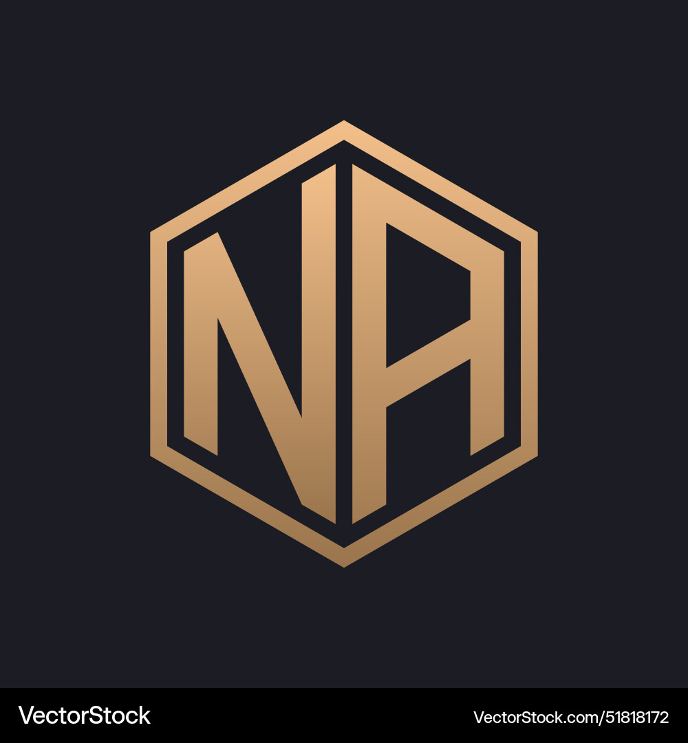 Elegant hexagon letter na logo design initial Vector Image