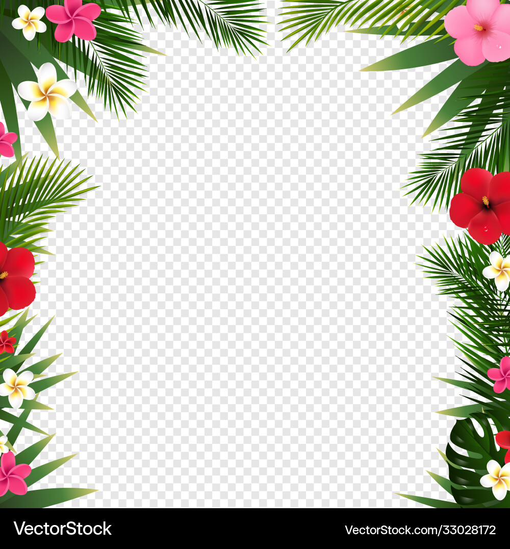Tropical border and white background transparent Vector Image