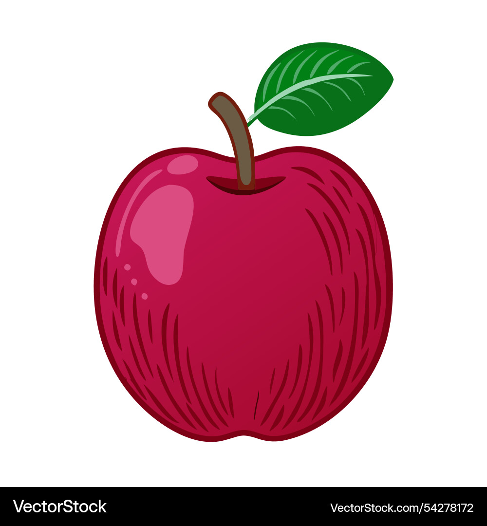 Velvet apple icon fruits Royalty Free Vector Image
