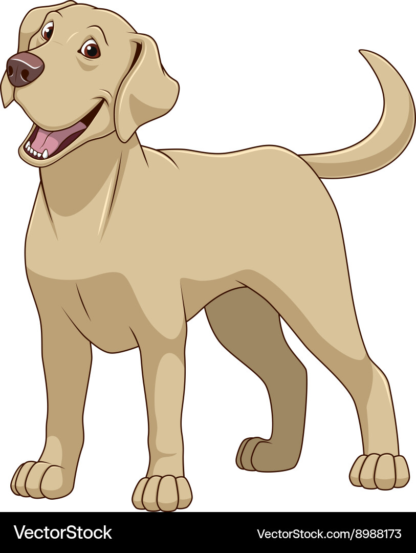 Adorable Labrador Retriever Royalty Free Vector Image