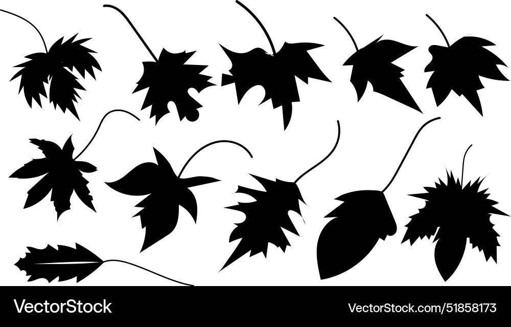 Autumn leaves collection silhouette trendy design Vector Image