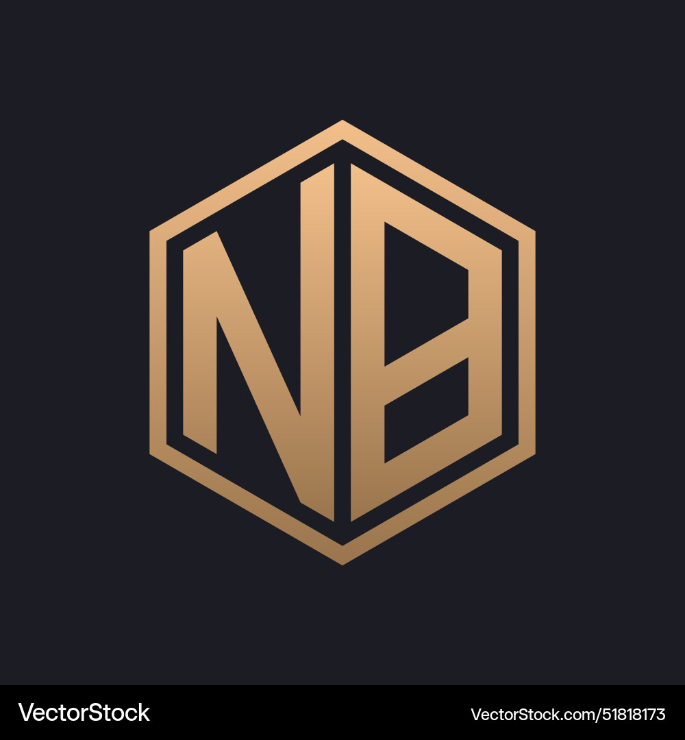 Elegant hexagon letter nb logo design initial Vector Image