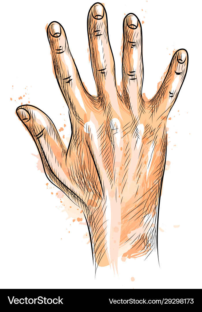 Hand showing five fingers from a splash Royalty Free Vector