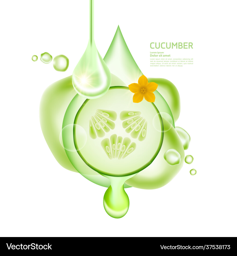 Premium cucumber fresh product Royalty Free Vector Image