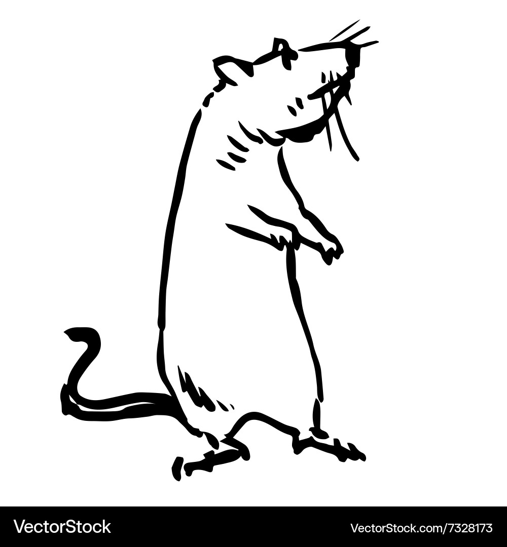 Rat mouse Royalty Free Vector Image - VectorStock