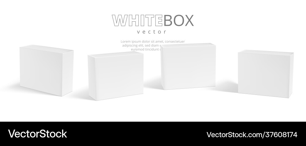 3d white box with shadow isolated on background Vector Image