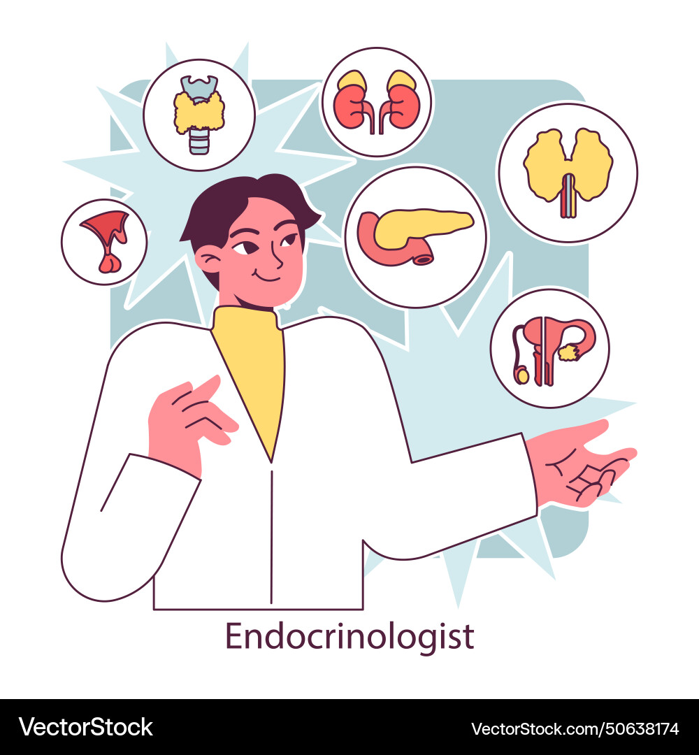 Endocrinology endocrine system organs pancreas Vector Image
