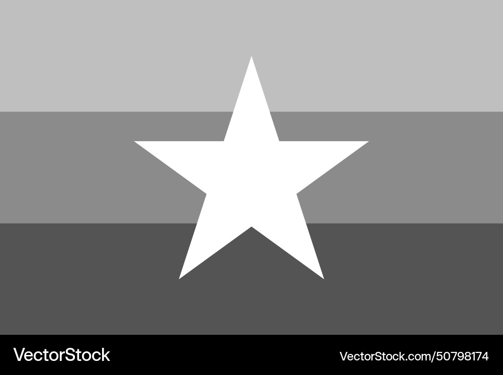 Greyscale flag of myanmar Royalty Free Vector Image