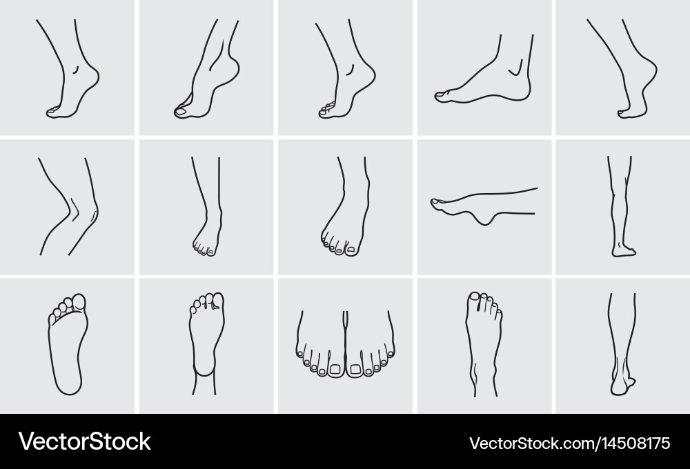 Cartoon Toes Feet Vector Images (over 610)