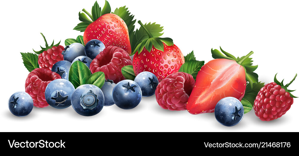 Raspberries blueberries and strawberries Vector Image