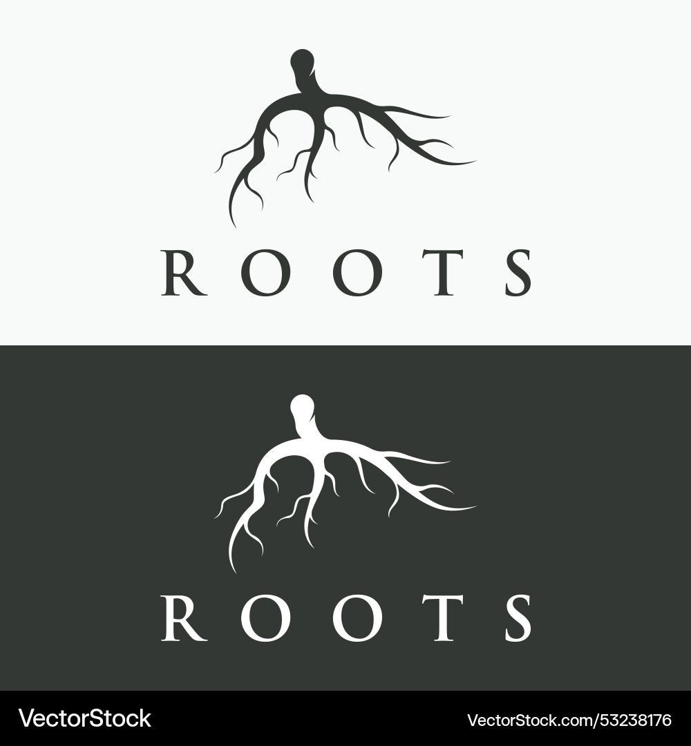 Single and fibrous tree root natural abstract Vector Image
