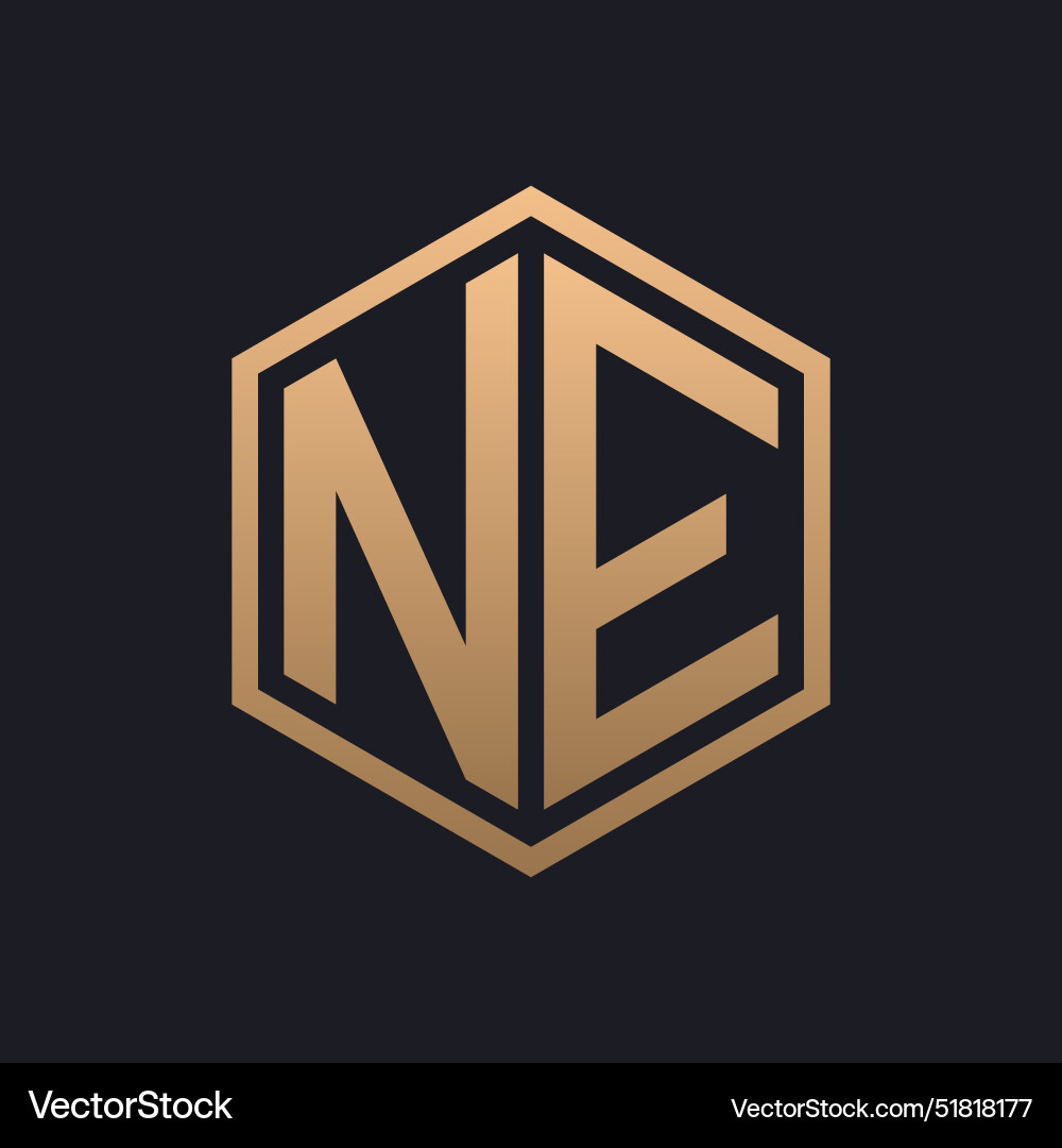 Elegant hexagon letter ne logo design initial Vector Image