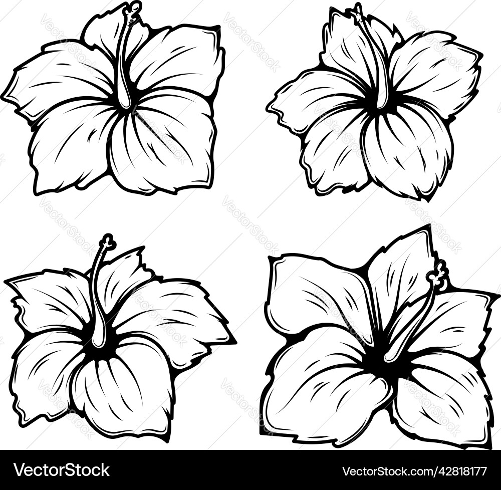 Set of hibiscus flower design elements Royalty Free Vector