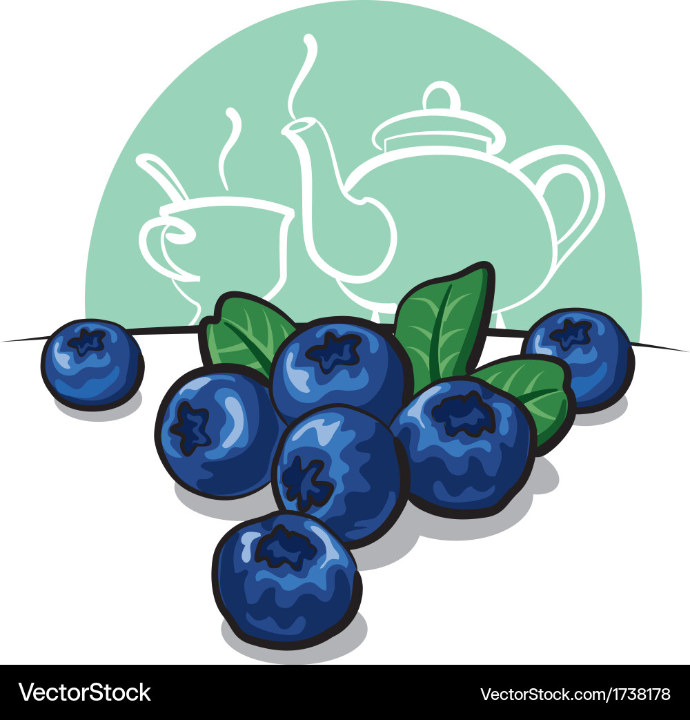 Blueberry Royalty Free Vector Image - VectorStock