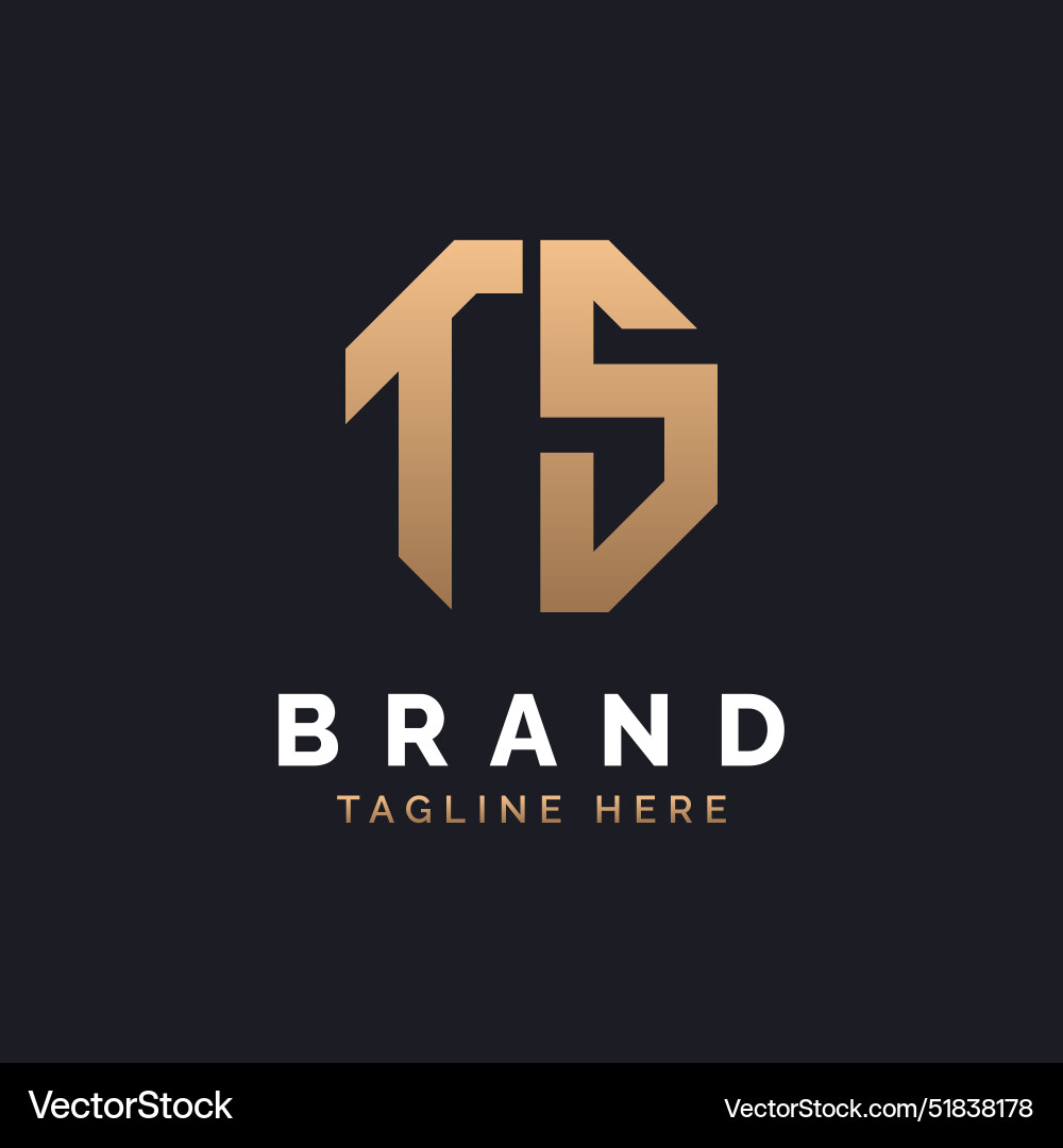 Ts logo design modern minimal elegant and luxury Vector Image