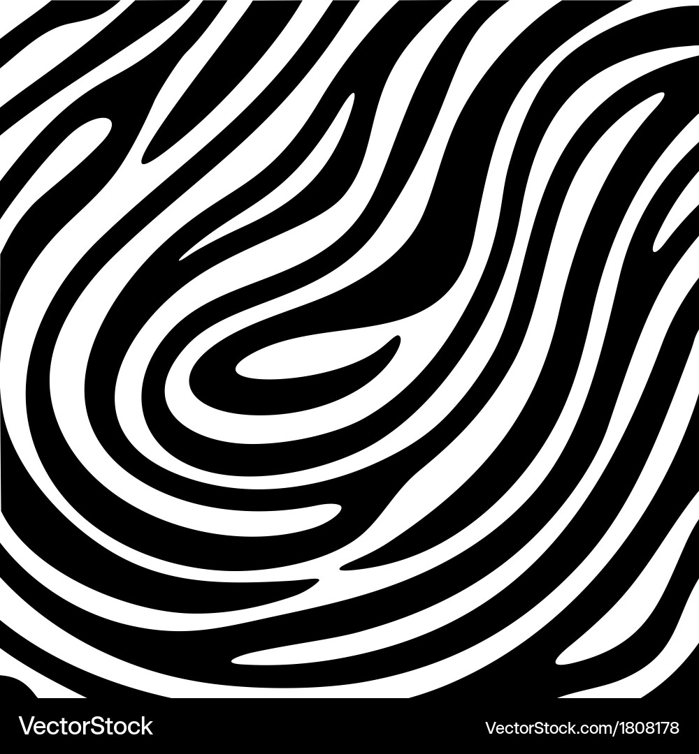 Zebra Royalty Free Vector Image - VectorStock